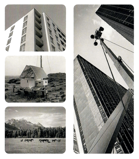 LiveView Technologies | CK Tactical Security